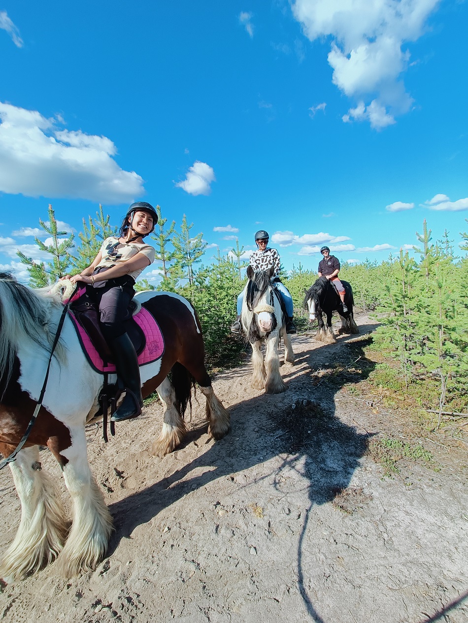 Horseback riding in Lapland